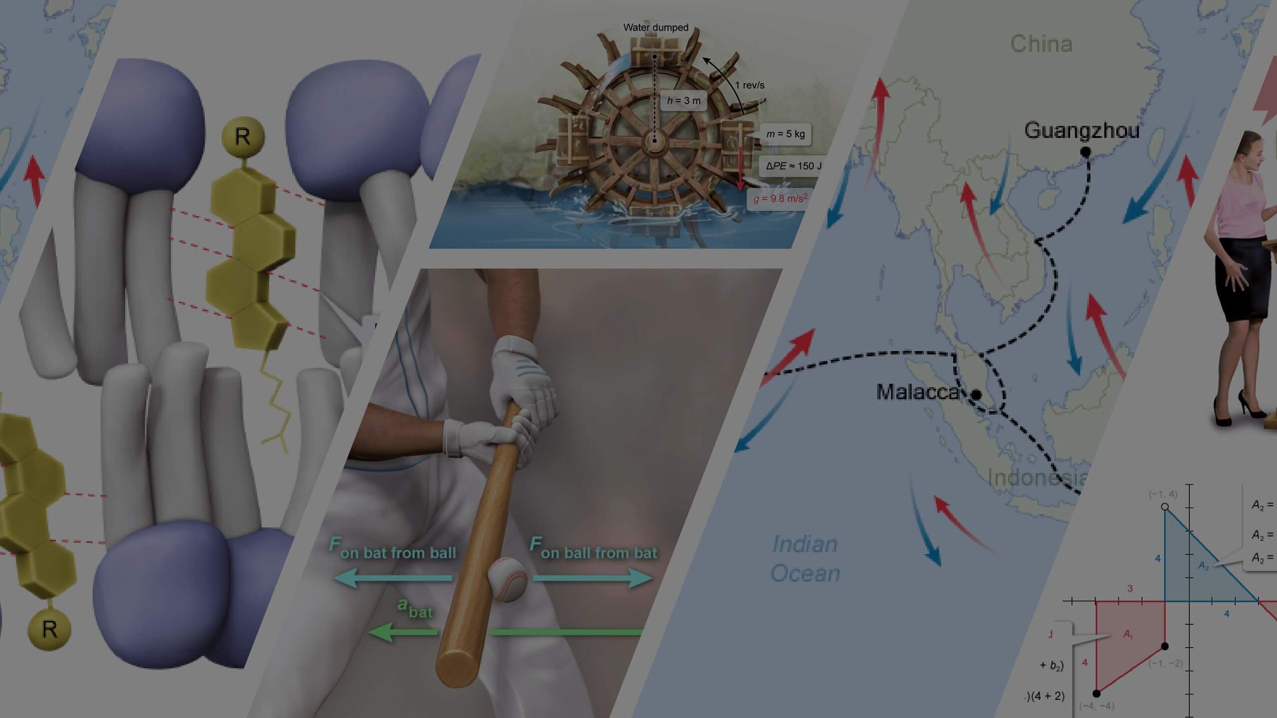 About AP® Exams: The Ultimate Guide to the College Board® AP Exams